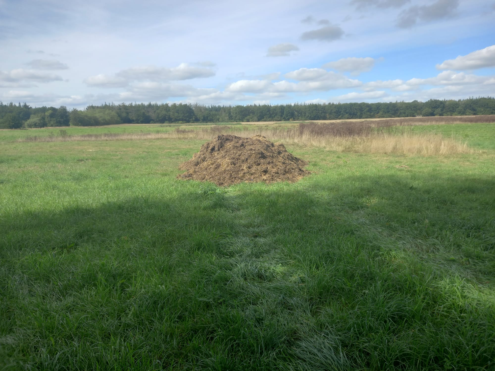 Dood schaap en afval gedumpt: ‘Bedankt namens de natuur’ - 112 Nederland