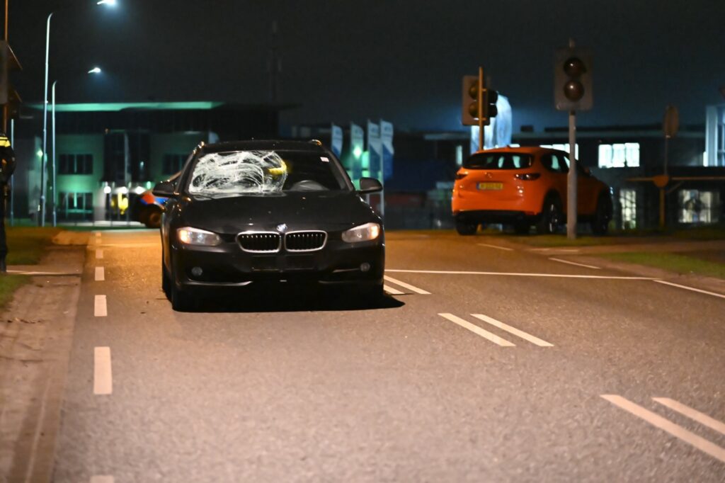 Hond dood na frontale aanrijding, baasje raakt zwaargewond - 112 Nederland