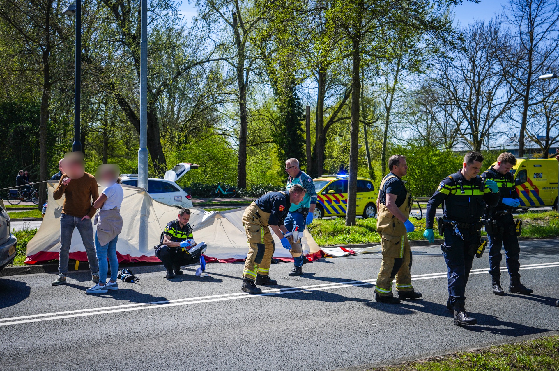 Man wil gewonde gans op straat helpen en zakt in elkaar, busje en auto ...
