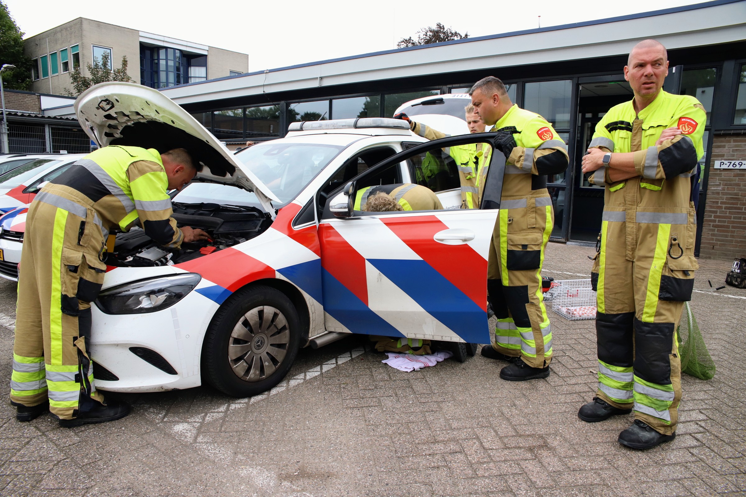 Kat ontsnapt en zit uren bekneld in politieauto - 112 Nederland