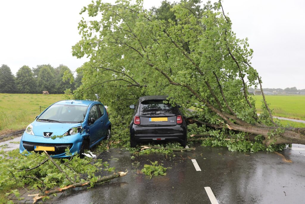 Boom waait om en valt op voorbij rijdende auto - 112 Nederland