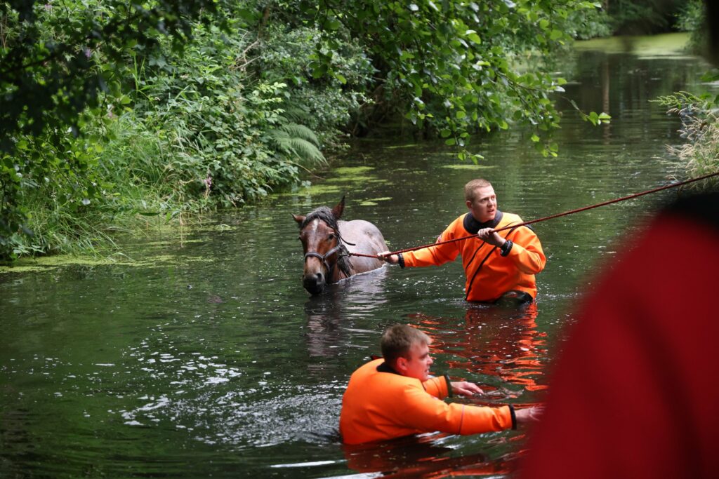 Brandweer redt paard uit water - 112 Nederland