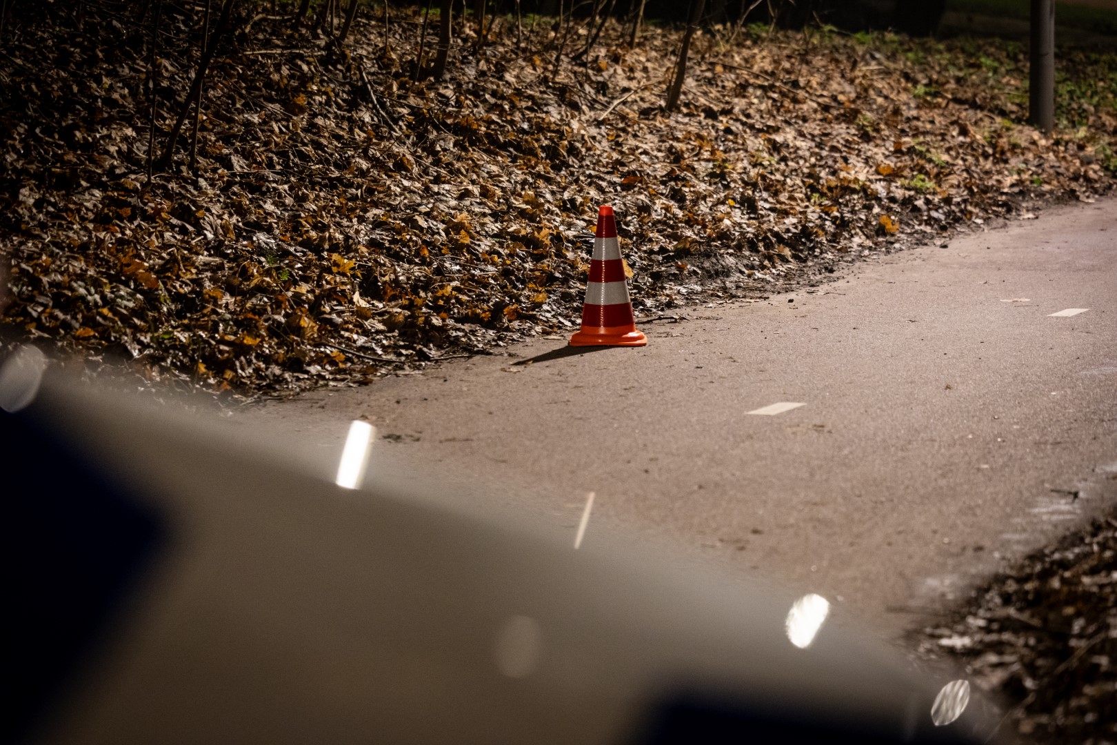 Man doodgeschoten op fietspad langs snelweg, politie start groot onderzoek - 112 Nederland
