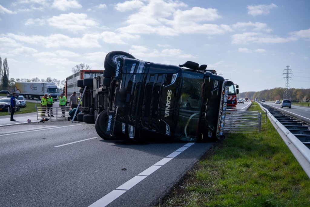 UPDATE Vrachtwagen met biggetjes gekanteld op snelweg, weg volledig dicht - 112 Nederland