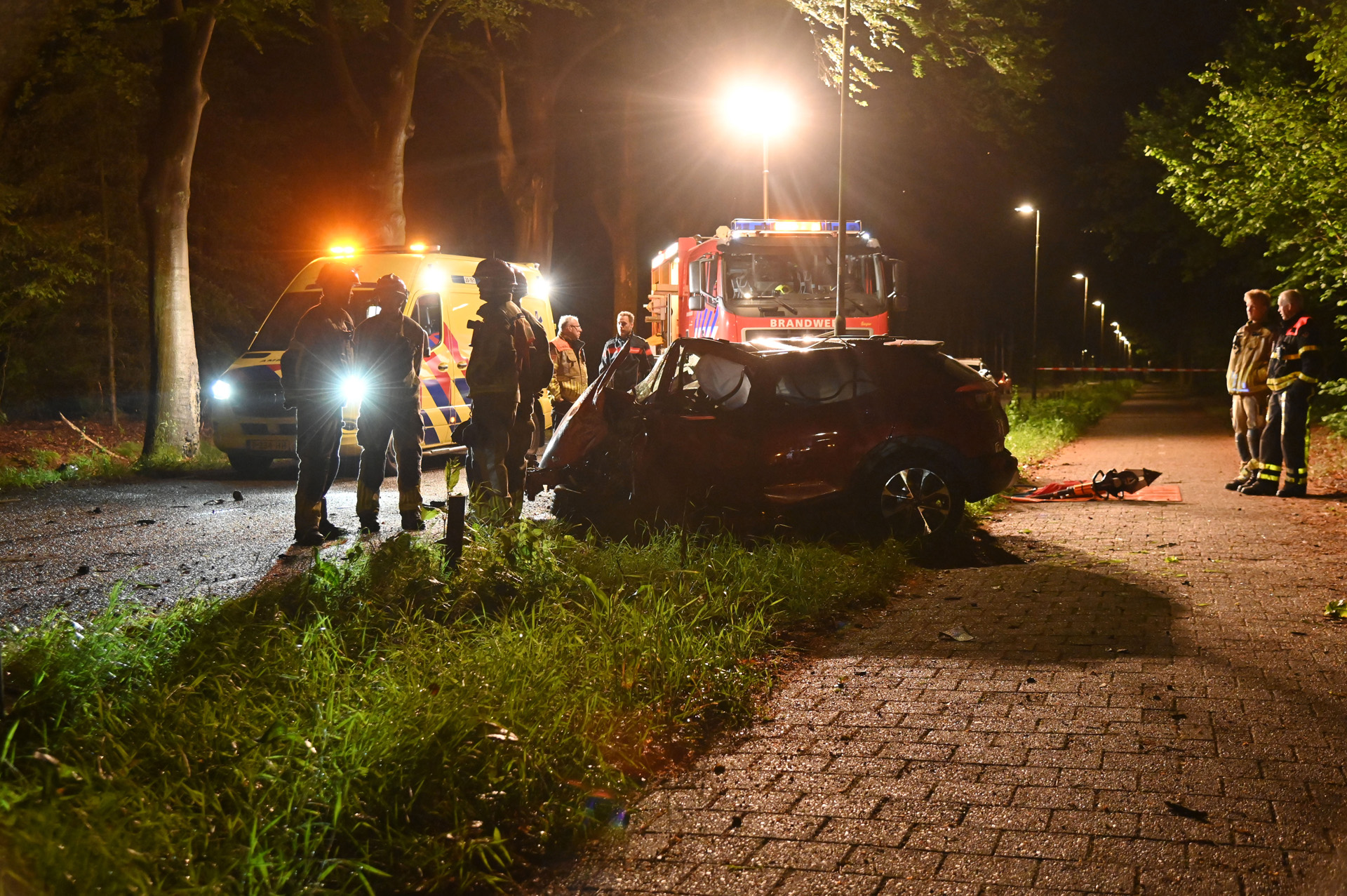 Auto botst tegen boom, bestuurder overleden - 112 Nederland