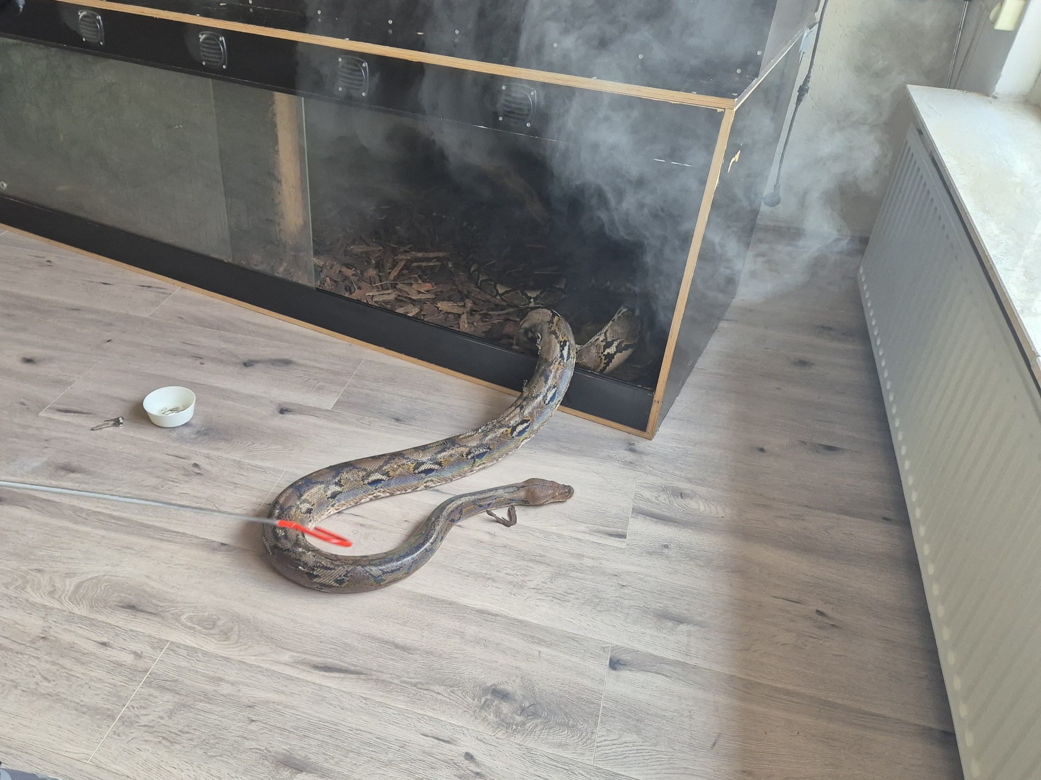 Brandweer redt wurgslang tijdens brand in terrarium - 112 Nederland