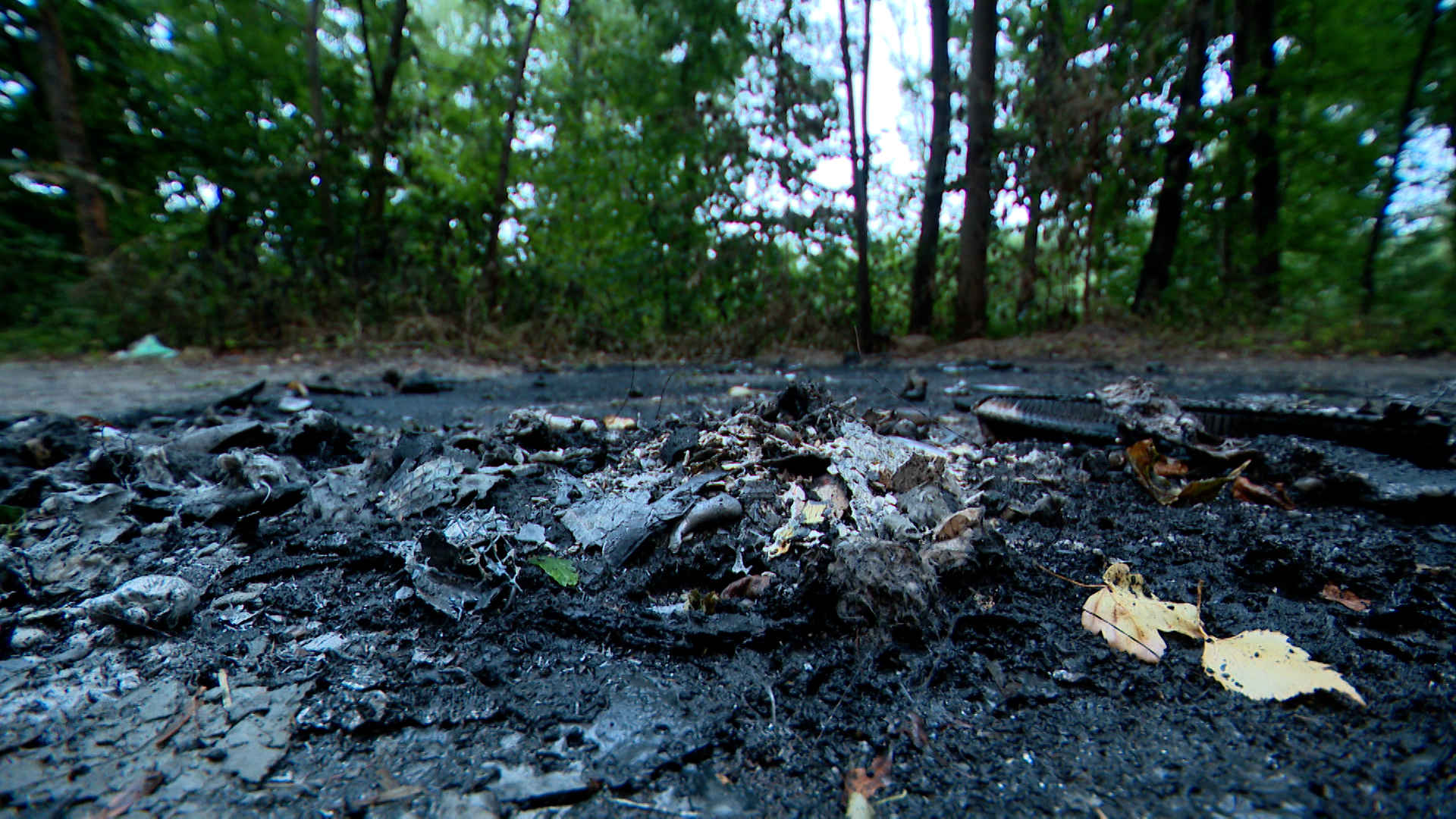 Verdachte aangehouden na dode man in uitgebrand voertuig - 112 Nederland