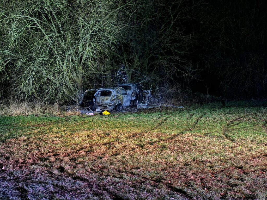 Vier auto’s en motor volledig uitgebrand in park - 112 Nederland
